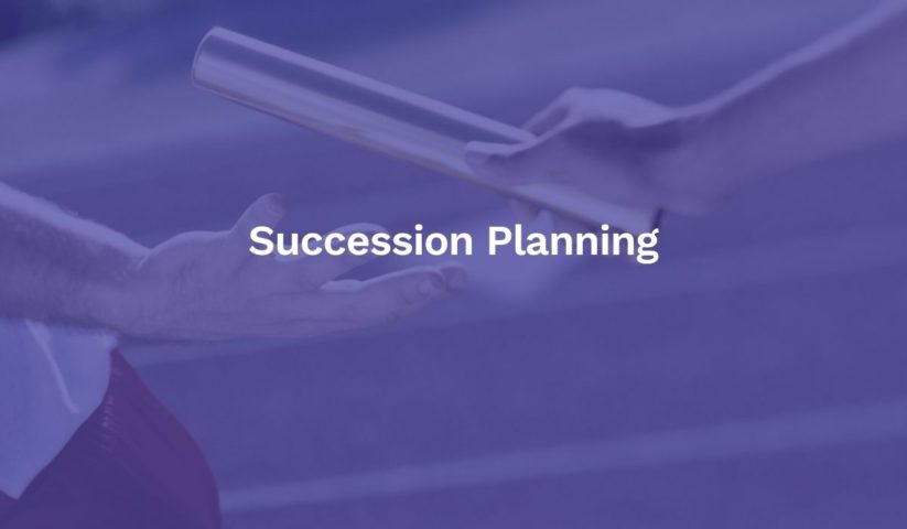 HR Succession Planning Process Australia | Purple Playground